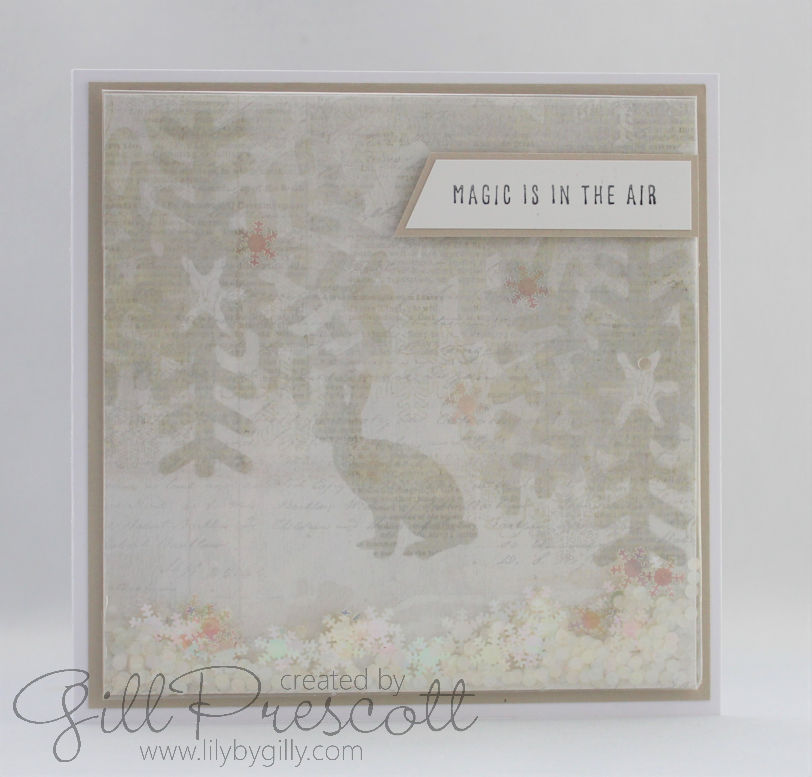 Christmas acetate shaker card – Lily-by-Gilly